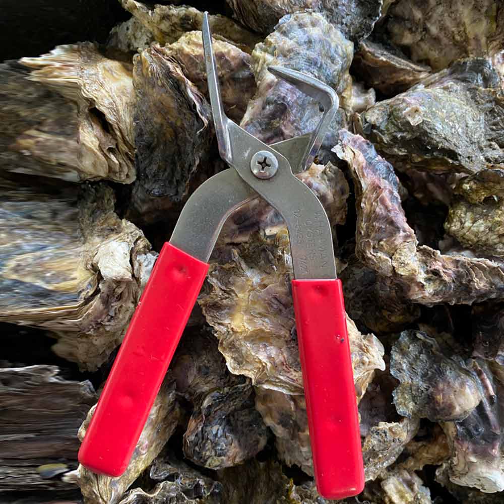 Whatmans Opener – Broadwater Oysters